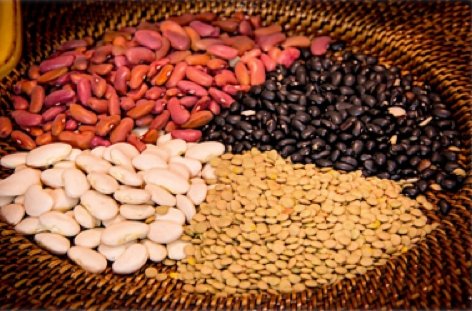 cool-beans-839014.jpg?v=1676232131