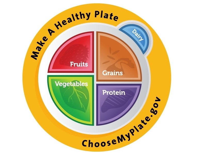 making-myplate-a-reality-808811.jpg?v=1676232202