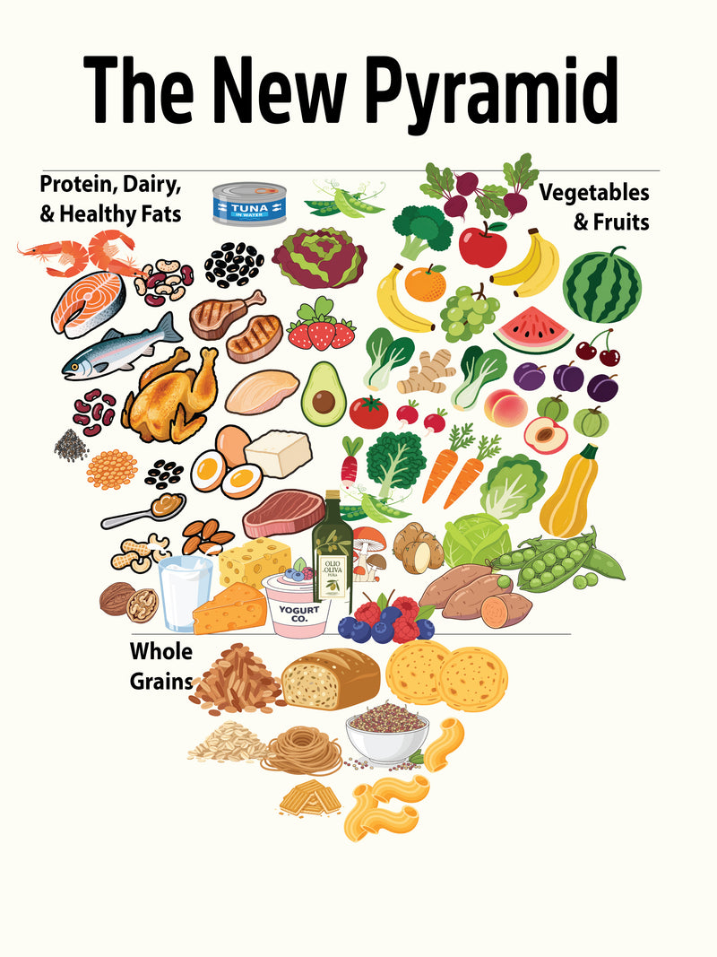 The New Food Pyramid USDA - 18" x 24" Laminated
