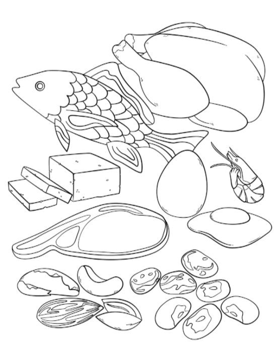coloring pages food groups