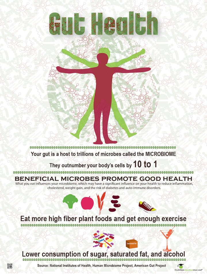 Gut Health Poster - Microbiome Poster 18" x 24" Laminated